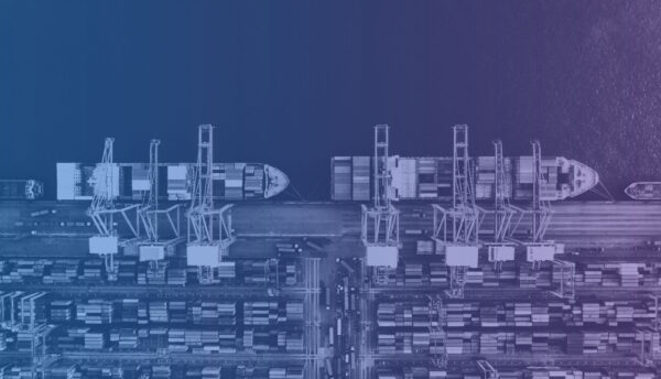 Who We Are – Linescape